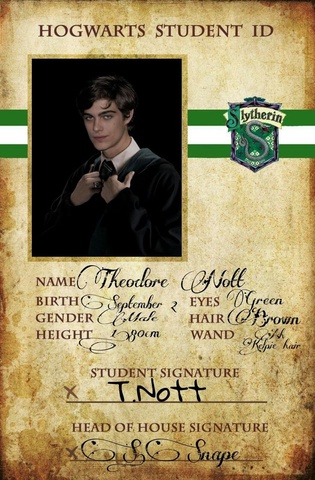 Theodore Nott Harry Potter Wand The Most Interesting Details In Harry